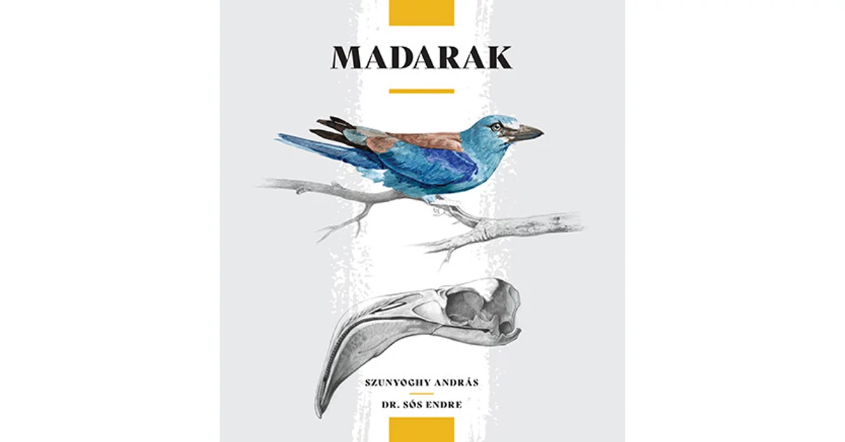 Rajz, grafika - Boek.hu webáruház